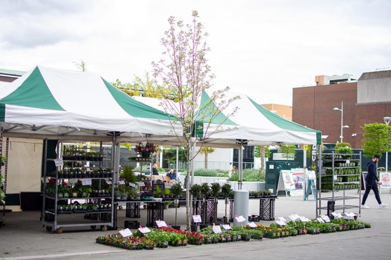 Visit Us – Basildon Market